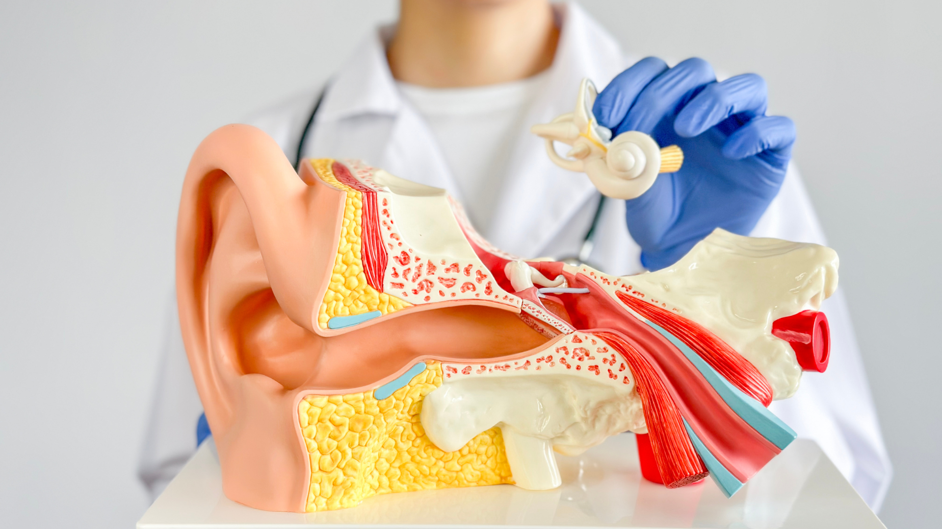 Breakthroughs in Auditory Science: Innovative Studies and Trials ...